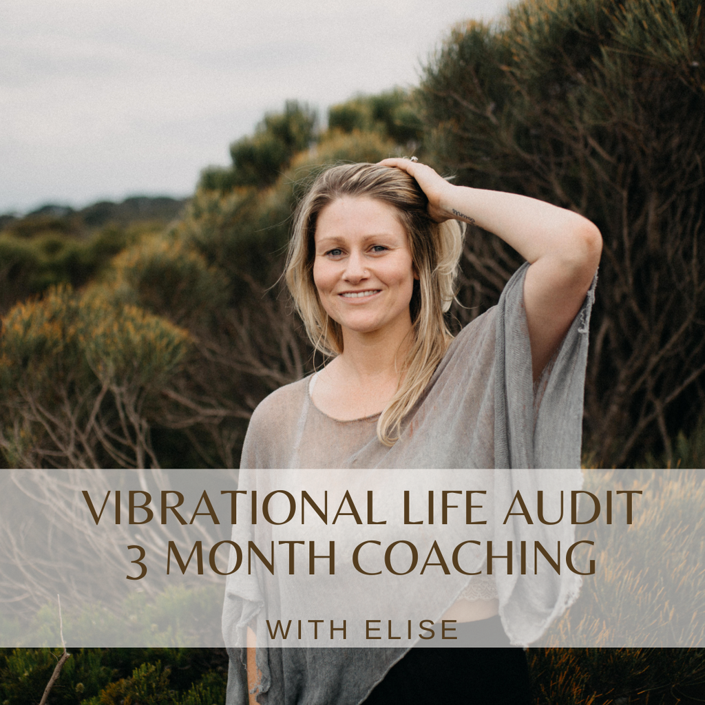 VIBRATIONAL LIFE AUDIT 3 MONTH HOLISTIC COACHING with Elise – Source 88